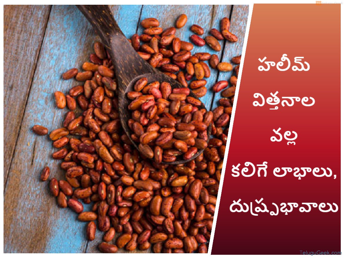 హలీమ్ విత్తనాల వల్ల కలిగే లాభాలు, దుష్ప్రభావాలు - TeluguGeek