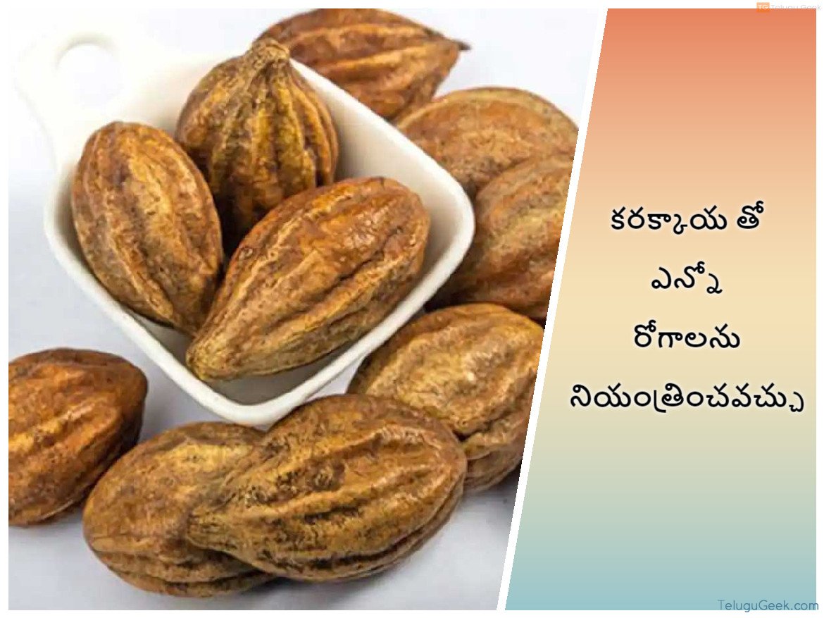 కరక్కాయ తో ఎన్నో రోగాలను నియంత్రించవచ్చు - TeluguGeek